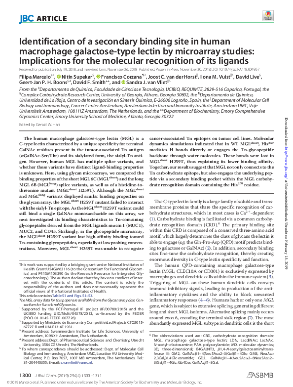 (PDF) Identification of a secondary binding site in human macrophage galactose-type lectin by ...