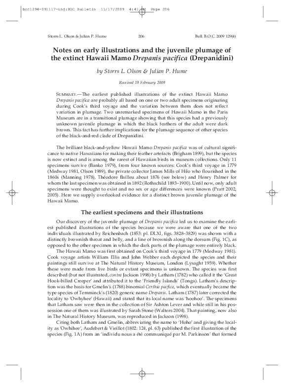 (PDF) Notes on Early Illustrations and the Juvenile Plumage of the ...