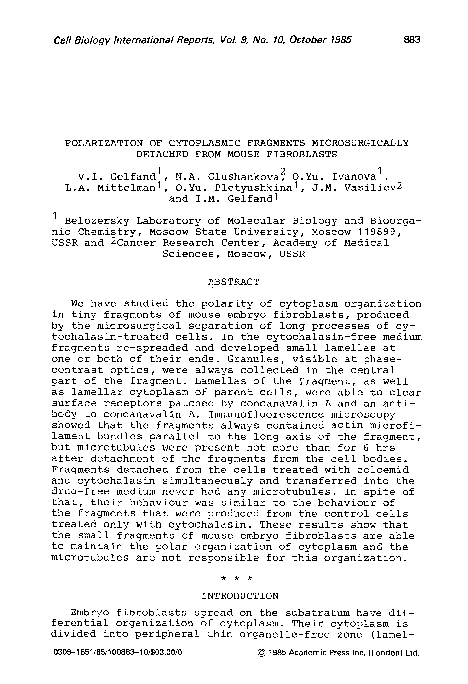 Polarization of cytoplasmic fragments microsurgically detached from ...