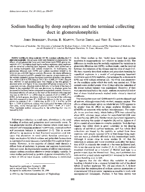 (PDF) Sodium handling by deep nephrons and the terminal collecting duct ...