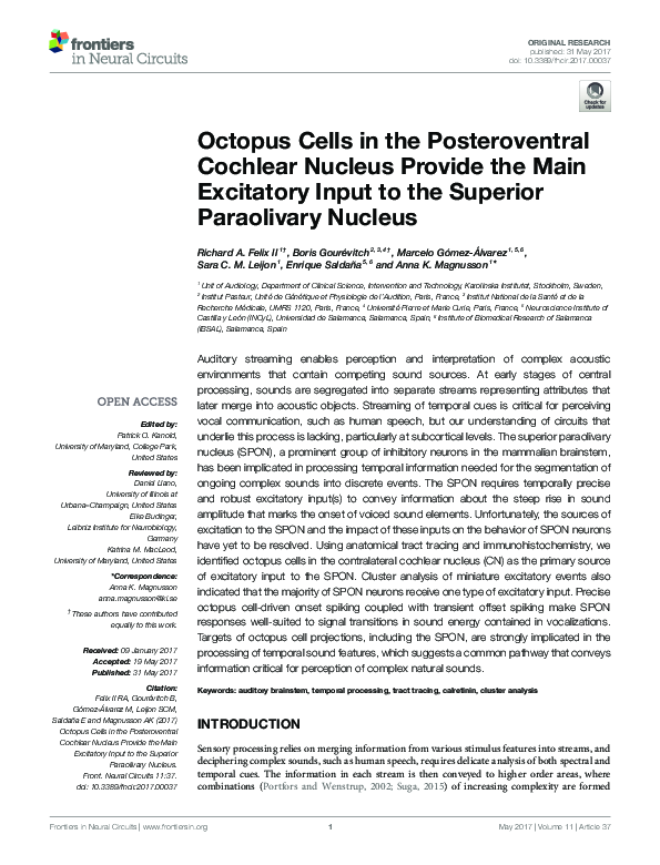 (PDF) Octopus Cells in the Posteroventral Cochlear Nucleus Provide the ...