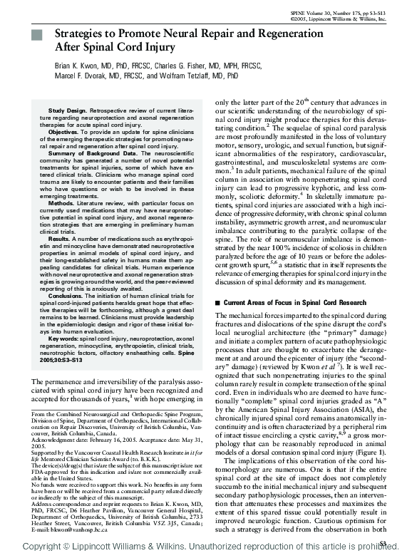 (PDF) Strategies to Promote Neural Repair and Regeneration After Spinal ...