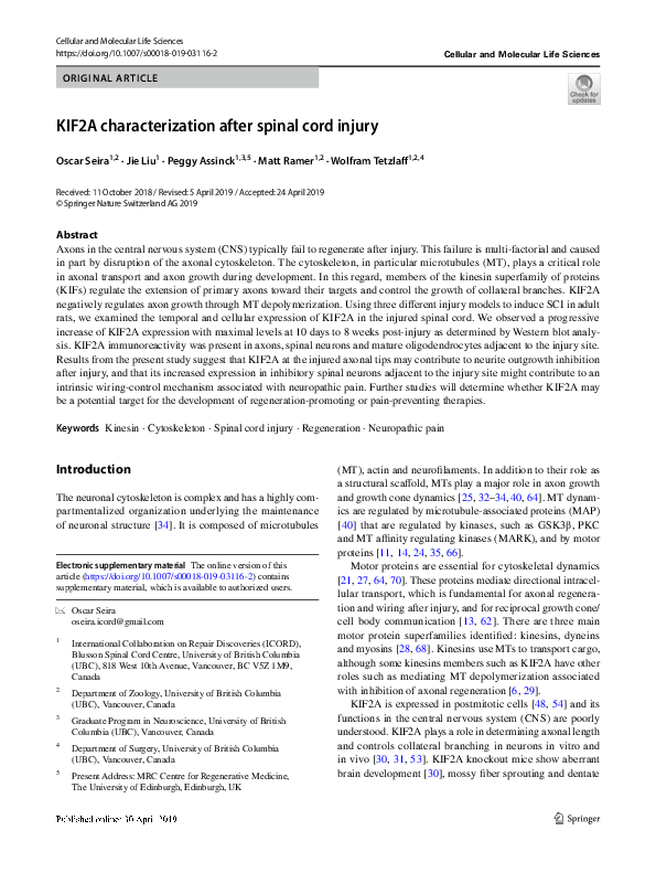 (PDF) KIF2A characterization after spinal cord injury