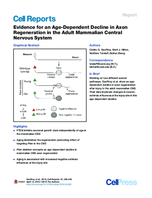 (PDF) Evidence for an Age-Dependent Decline in Axon Regeneration in the ...