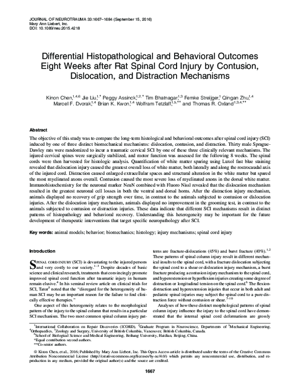 (PDF) Differential Histopathology and Behavioral Outcomes Eight Weeks After Rat Spinal Cord ...