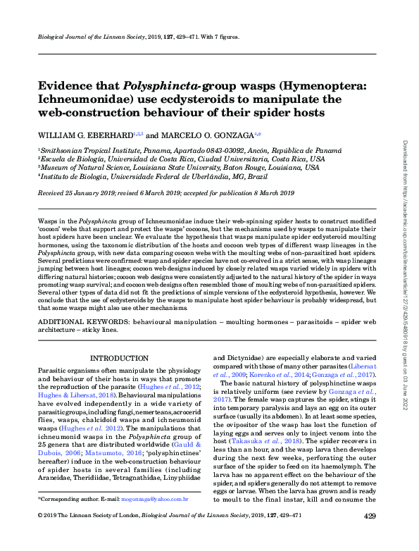 (PDF) Evidence that Polysphincta-group wasps (Hymenoptera ...