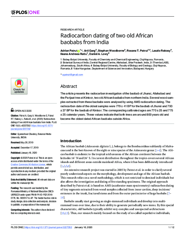 (PDF) Radiocarbon dating of two old African baobabs from India | Daniel ...