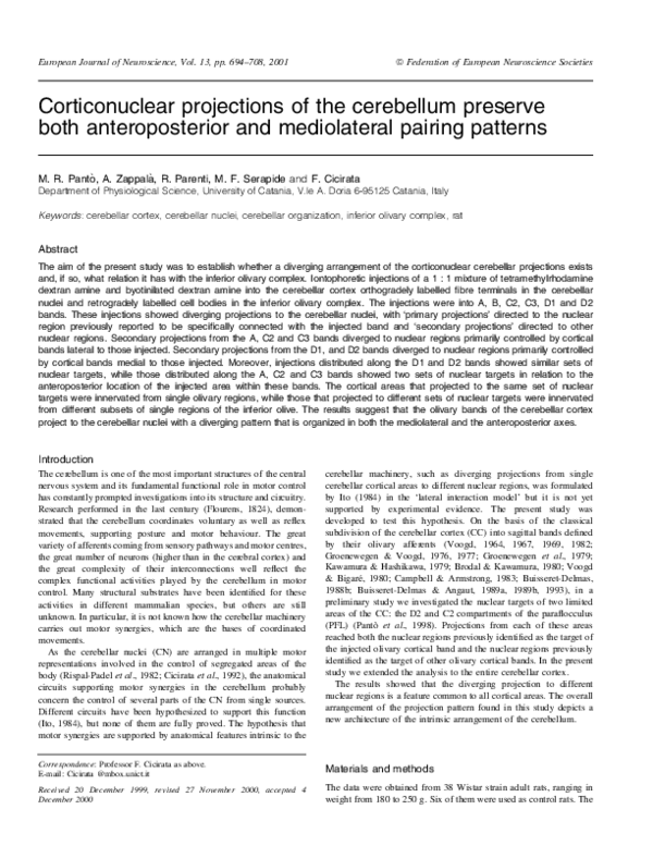 (PDF) Corticonuclear projections of the cerebellum preserve both ...