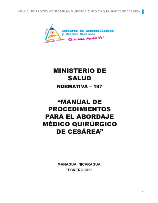 (PDF) Norma 197 Manual de Procedimiento DL