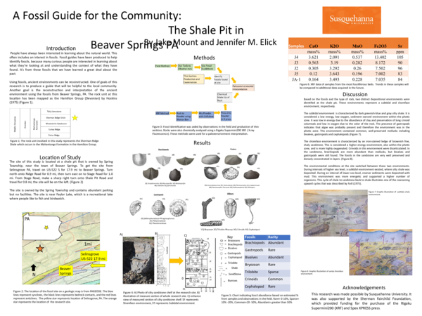(PPT) A Fossil Guide for the Community: The Shale Pit in Beaver Springs PA