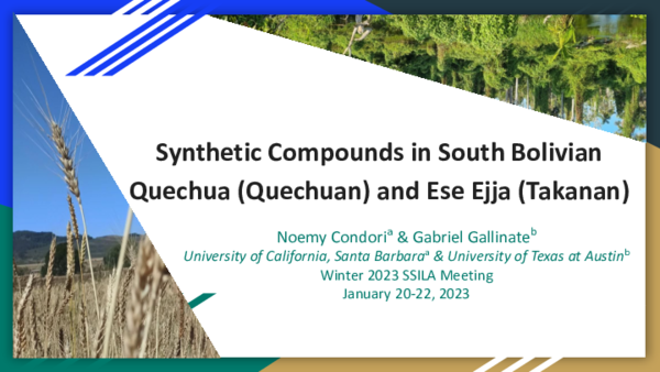 (PDF) Synthetic Compounds in South Bolivian Quechua (Quechuan) and Ese Ejja (Takanan)