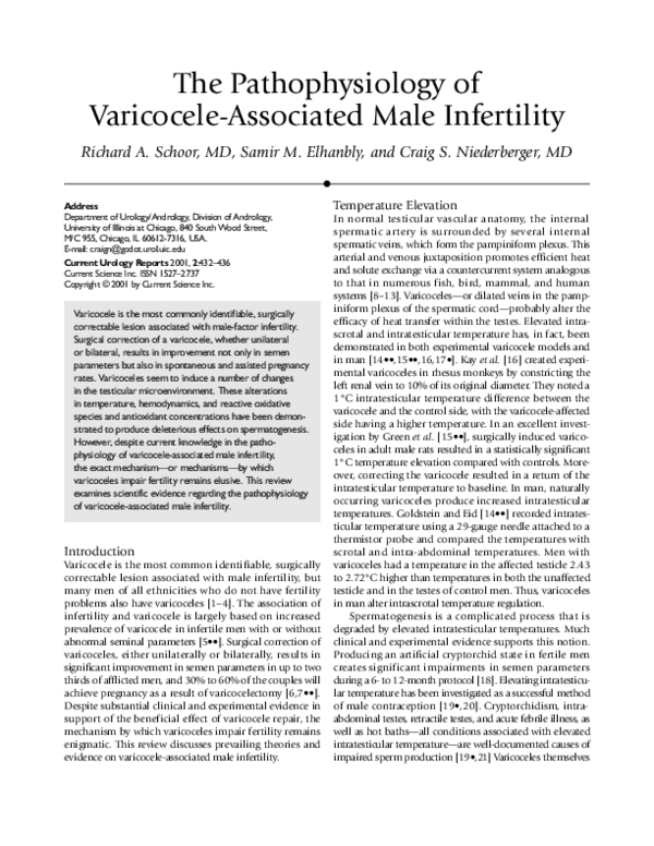 (PDF) The pathophysiology of varicocele-associated male infertility