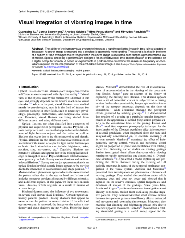 (PDF) Visual integration of vibrating images in time | Loreta ...