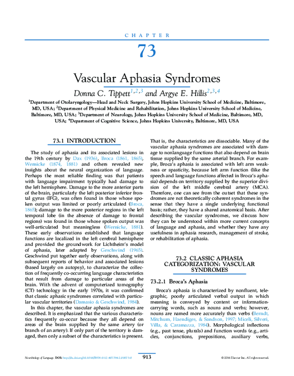 (PDF) Vascular Aphasia Syndromes