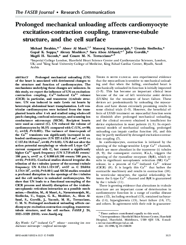 (PDF) Prolonged mechanical unloading affects cardiomyocyte excitation ...