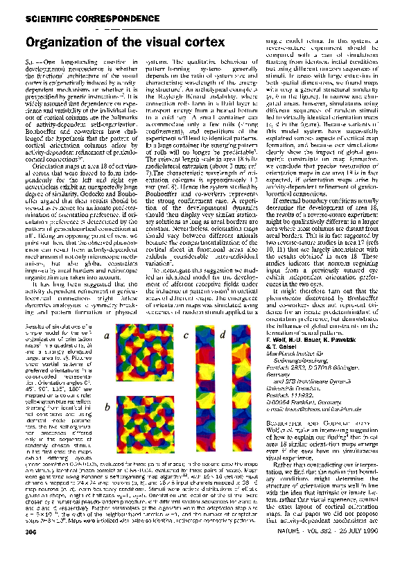 (PDF) Organization of the visual cortex