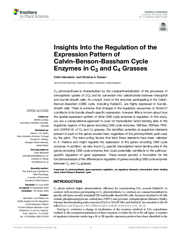 (PDF) Insights Into the Regulation of the Expression Pattern of Calvin ...