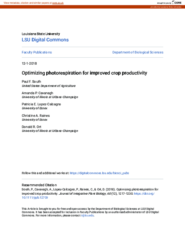 (PDF) Optimizing photorespiration for improved crop productivity