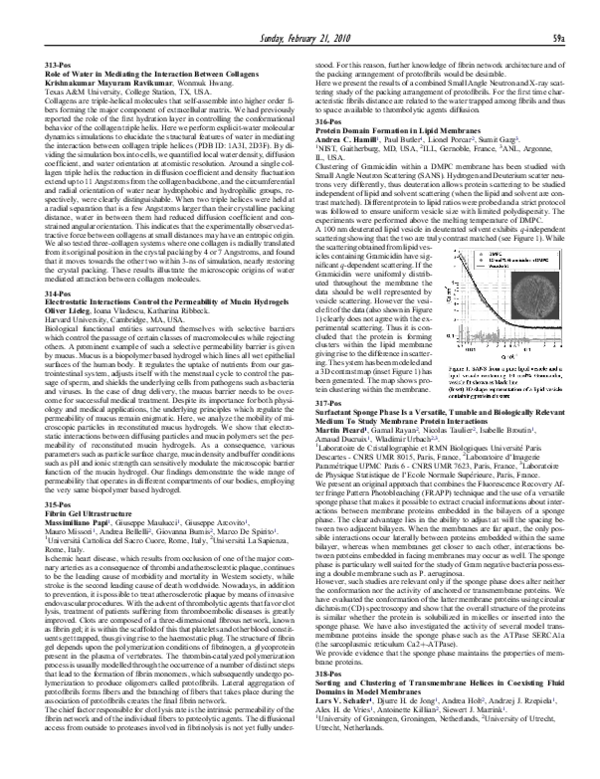 (PDF) Fibrin Gel Ultrastructure