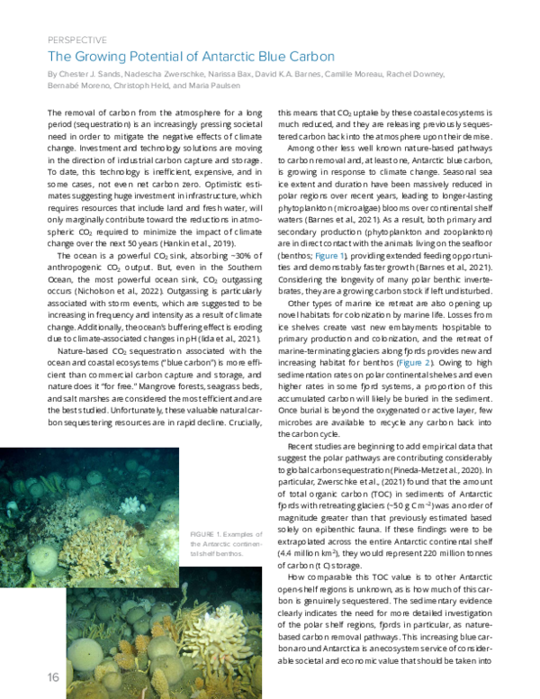 (PDF) The Growing Potential of Antarctic Blue Carbon