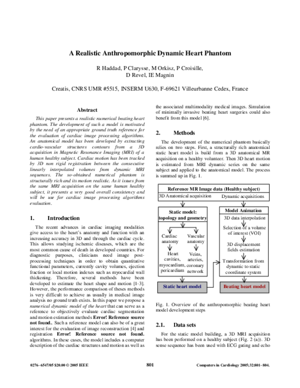 (PDF) A realistic anthropomorphic dynamic heart phantom