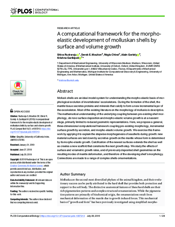 (PDF) A computational framework for the morpho-elastic development of molluskan shells by ...
