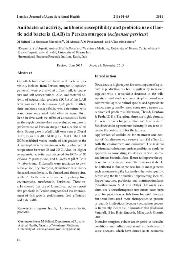 (PDF) Antibacterial activity, antibiotic susceptibility and probiotic ...