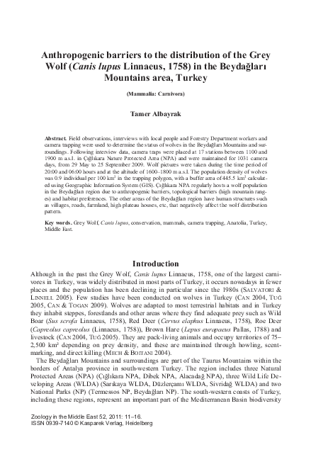 (PDF) Anthropogenic barriers to the distribution of the Grey Wolf ...