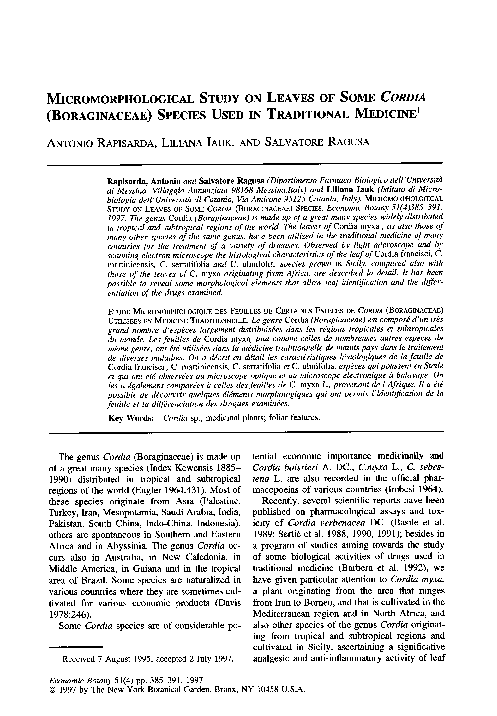 (PDF) Micromorphological study on leaves of someCordia (Boraginaceae) species used in ...