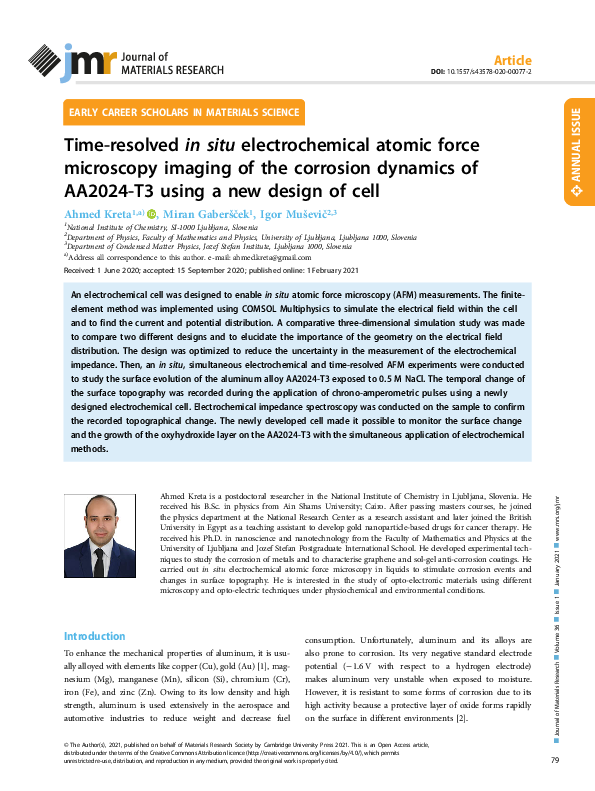 (PDF) Time‐resolved in situ electrochemical atomic force microscopy ...