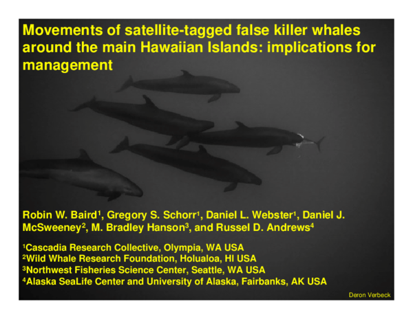 (PDF) Movements of satellite-tagged false killer whales around the main ...