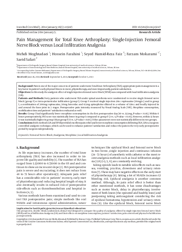 (PDF) Pain Management for Total Knee Arthroplasty: Single-Injection ...