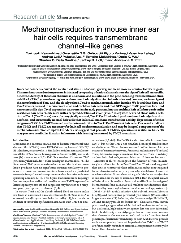 (PDF) Mechanotransduction in mouse inner ear hair cells requires ...