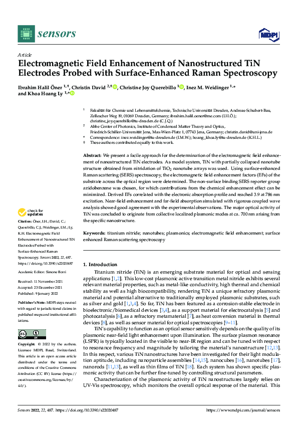 (PDF) Electromagnetic Field Enhancement of Nanostructured TiN Electrodes Probed with Surface ...