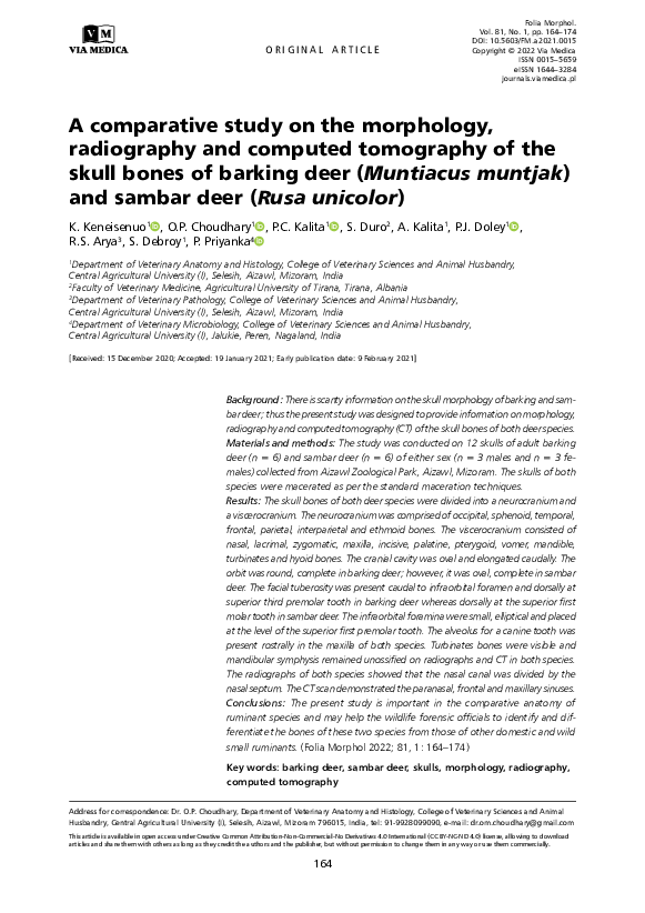 (PDF) A comparative study on the morphology, radiography and computed ...