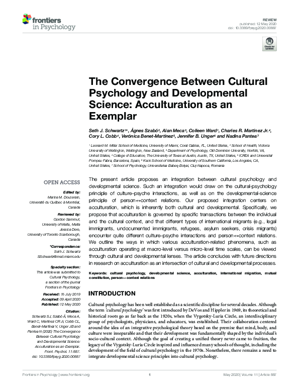(PDF) The Convergence Between Cultural Psychology and Developmental ...