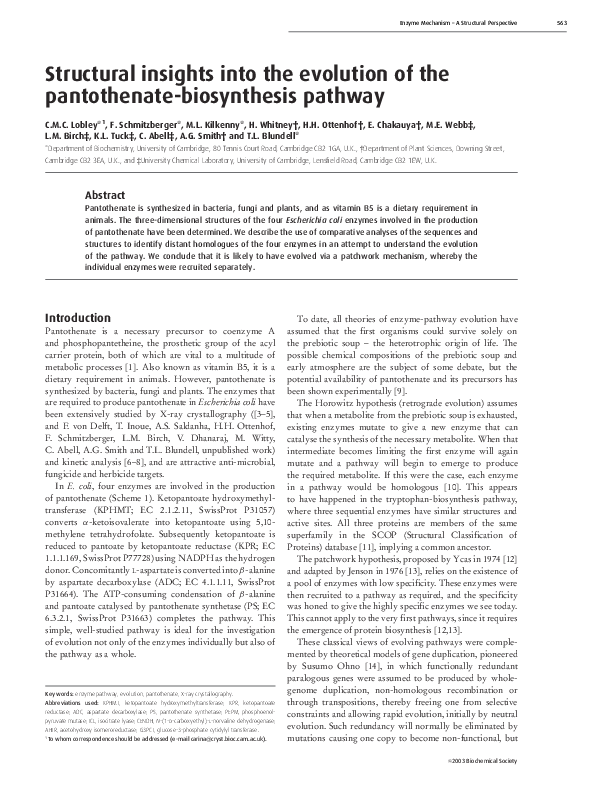 (PDF) Structural insights into the evolution of the pantothenate ...