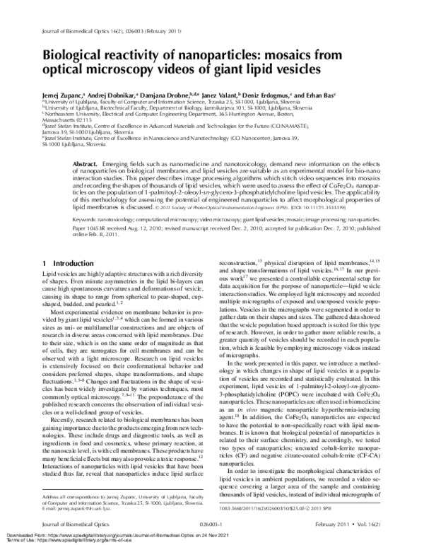 (PDF) Biological reactivity of nanoparticles: mosaics from optical ...