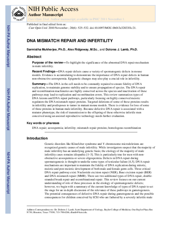 (PDF) DNA mismatch repair and infertility