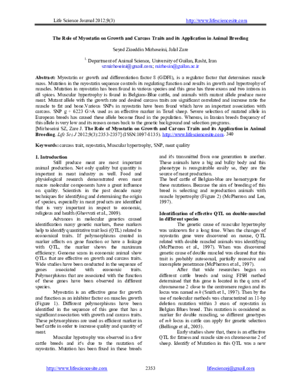 (PDF) The Role of Myostatin on Growth and Carcass Traits and its ...