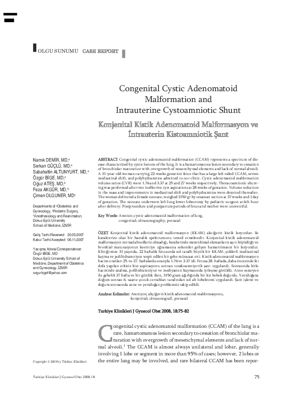 Pdf Congenital Cystic Adenomatoid Malformation And Intrauterine Cystoamniotic Shunt Cimen