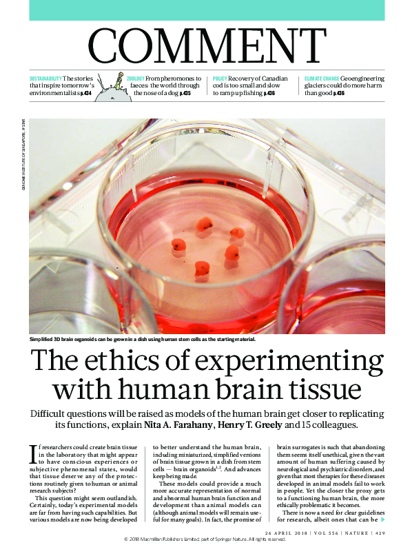 (PDF) The ethics of experimenting with human brain tissue | Henry ...