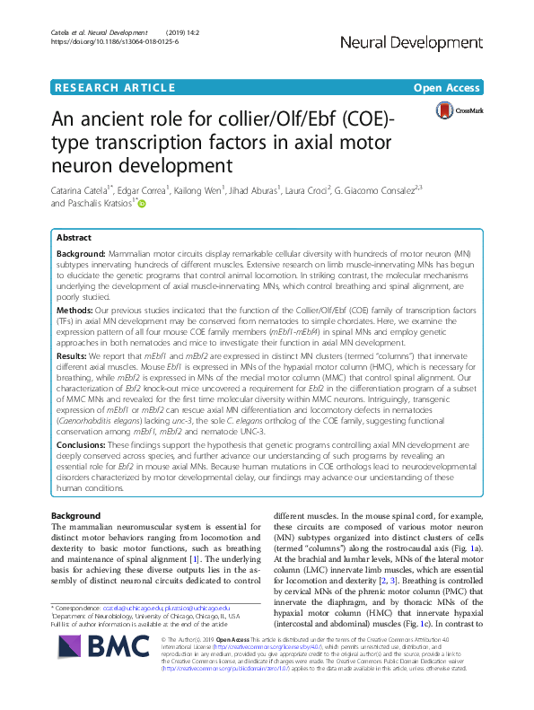 (PDF) An ancient role for collier/Olf/Ebf (COE)-type transcription ...