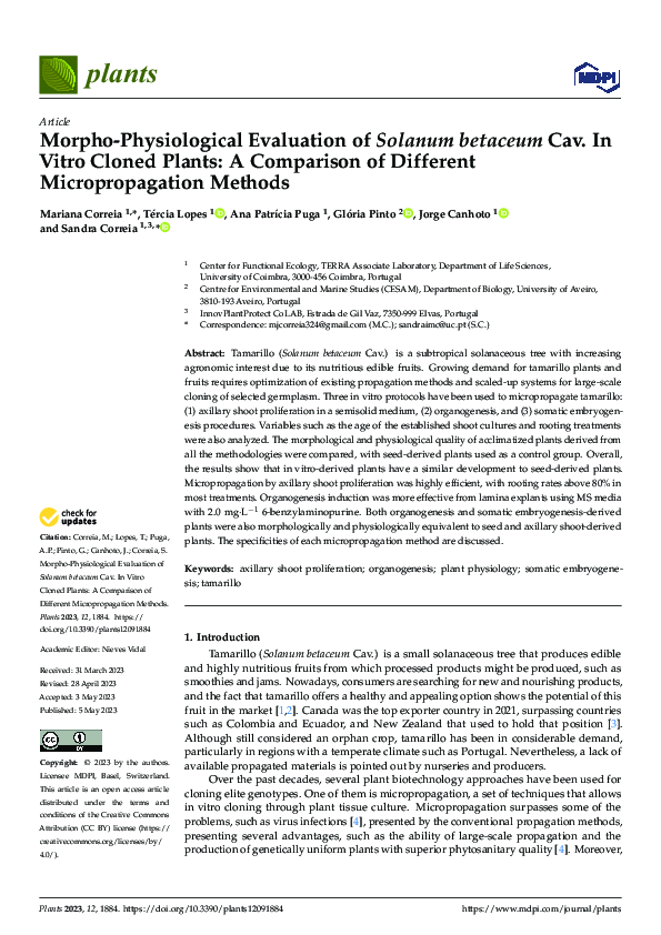 (PDF) Morpho-Physiological Evaluation of Solanum betaceum Cav. In Vitro Cloned Plants: A ...