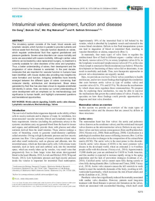 (PDF) Intraluminal valves: development, function and disease