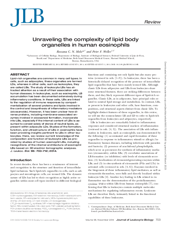 (PDF) Unraveling the complexity of lipid body organelles in human eosinophils | Rossana Melo ...