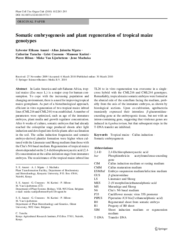 (PDF) Somatic embryogenesis and plant regeneration of tropical maize ...