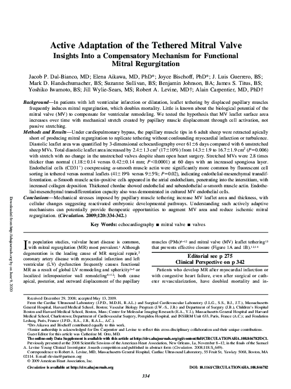 (PDF) Active Adaptation of the Tethered Mitral Valve