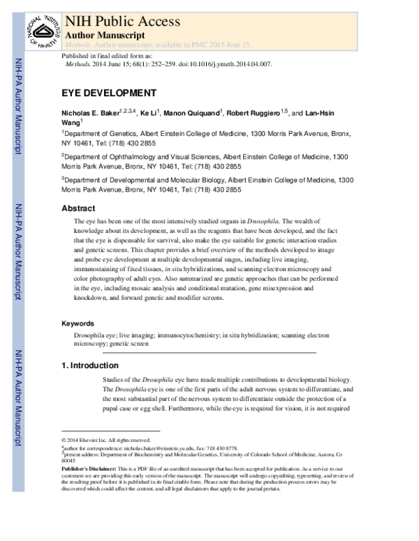 (PDF) Eye development