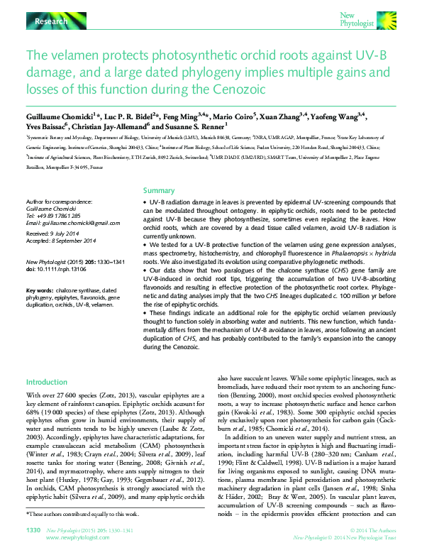 (PDF) The velamen protects photosynthetic orchid roots against UV-B ...